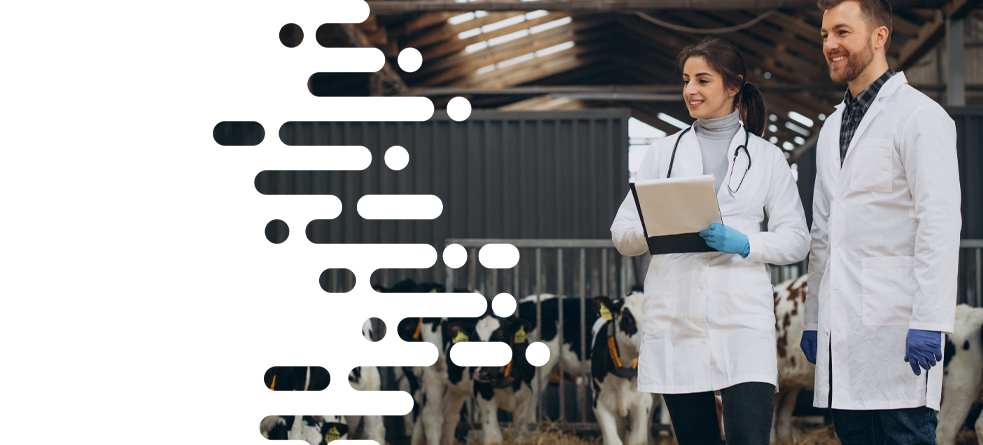 Contact Us | Linok: From Data to Decisions: Revolutionizing Milk ...